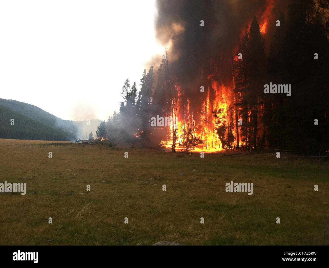 A wildfire in Montana, as captured by the U.S. Department of ...