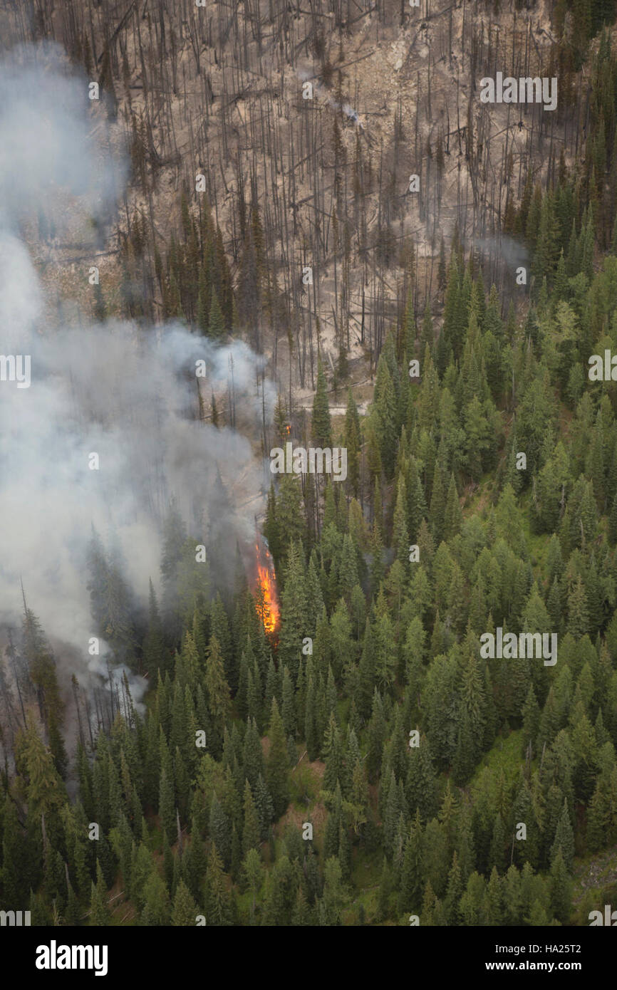 A wildfire burns in a park in Washington, with firefighting teams ...