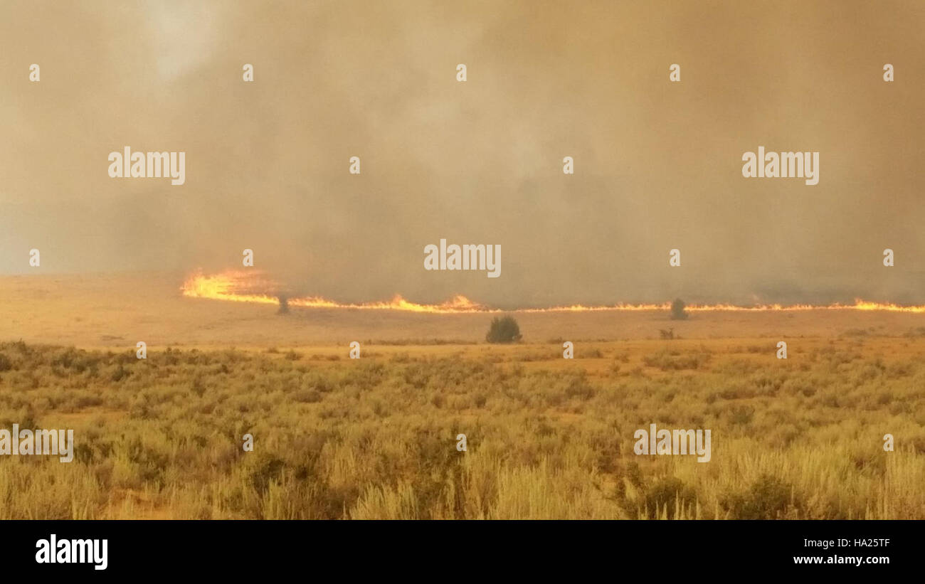 A wildfire in Idaho was managed by the USDA’s Forest Service. The fire ...