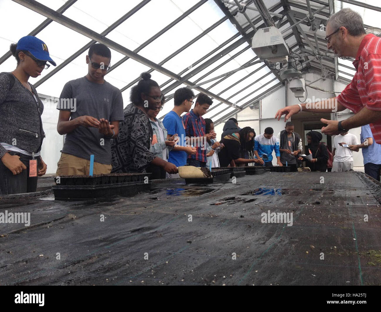 Students in agriculture planting hi-res stock photography and images ...