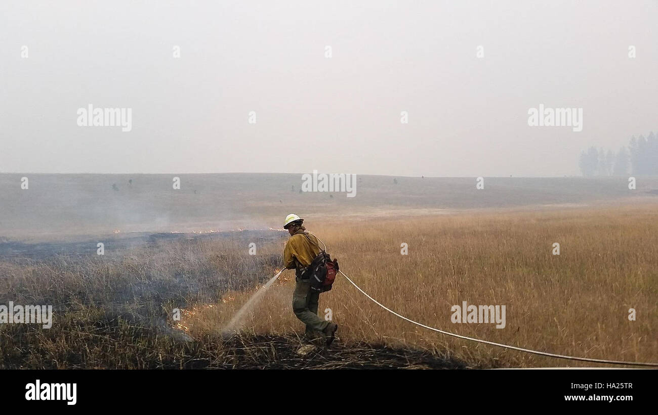 The USDA Forest Service plays a crucial role in managing wildfires in ...
