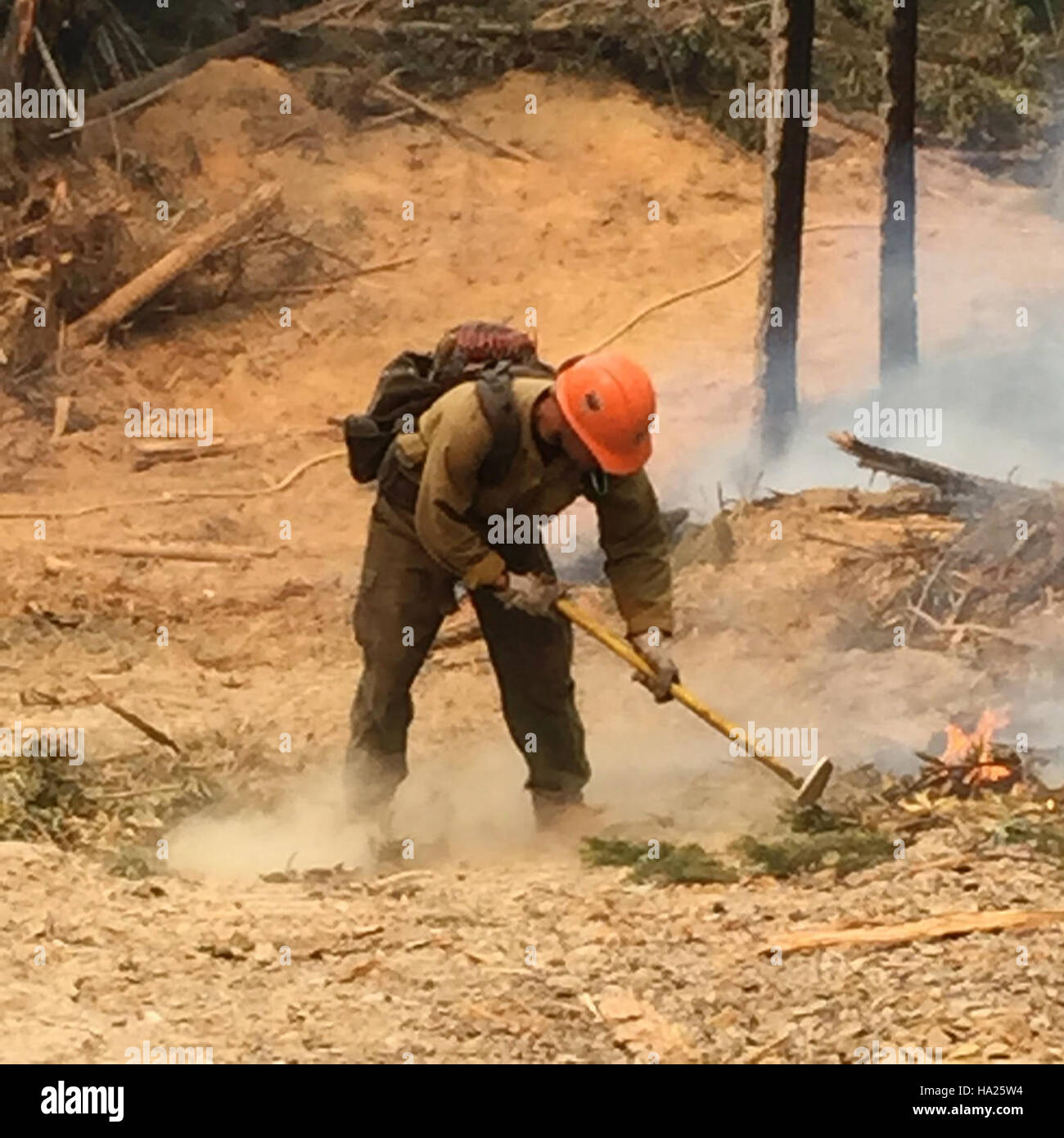 A wildfire in California, captured by the USDA's Forest Service ...