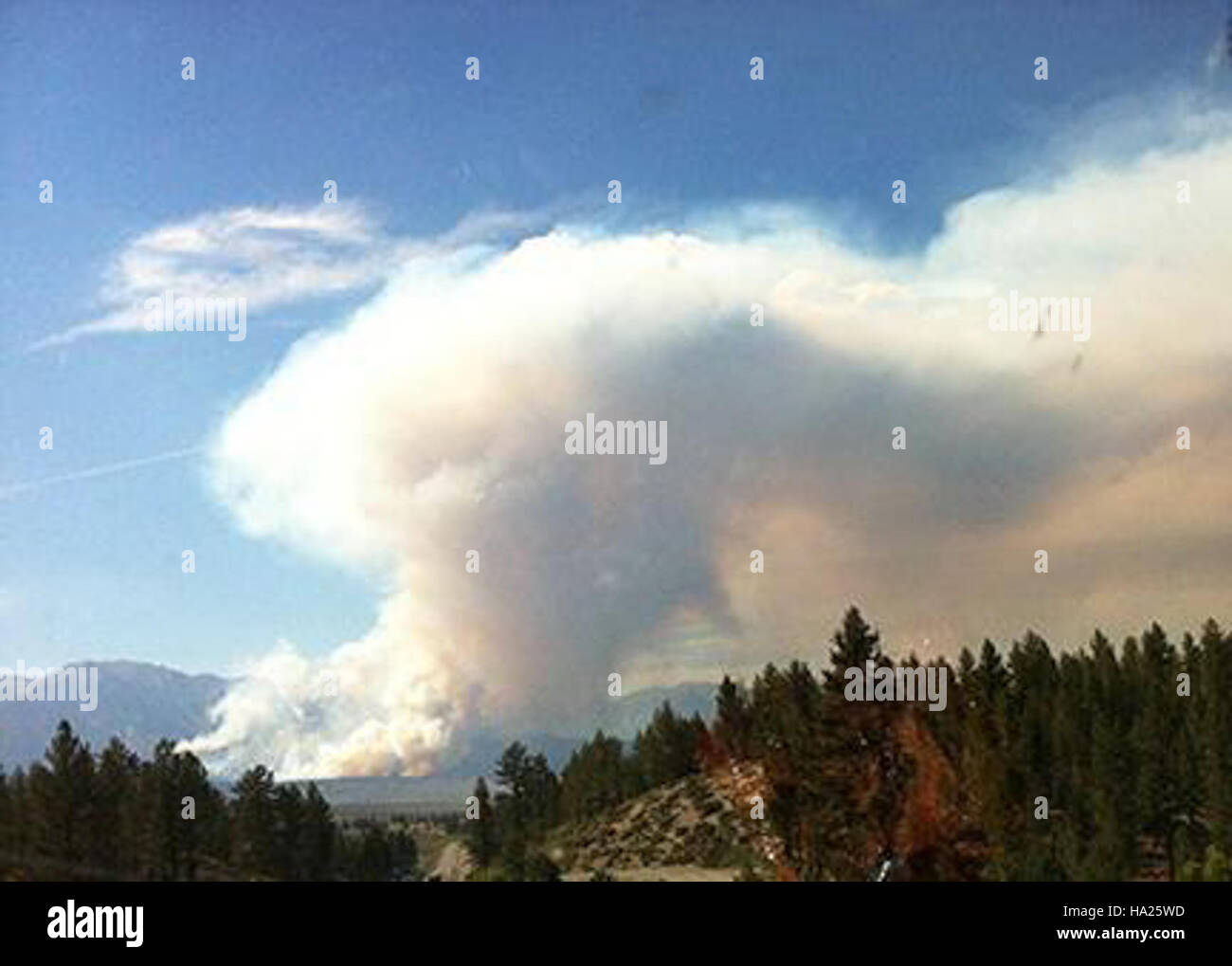 The USDA Forest Service manages fire prevention and response efforts in ...