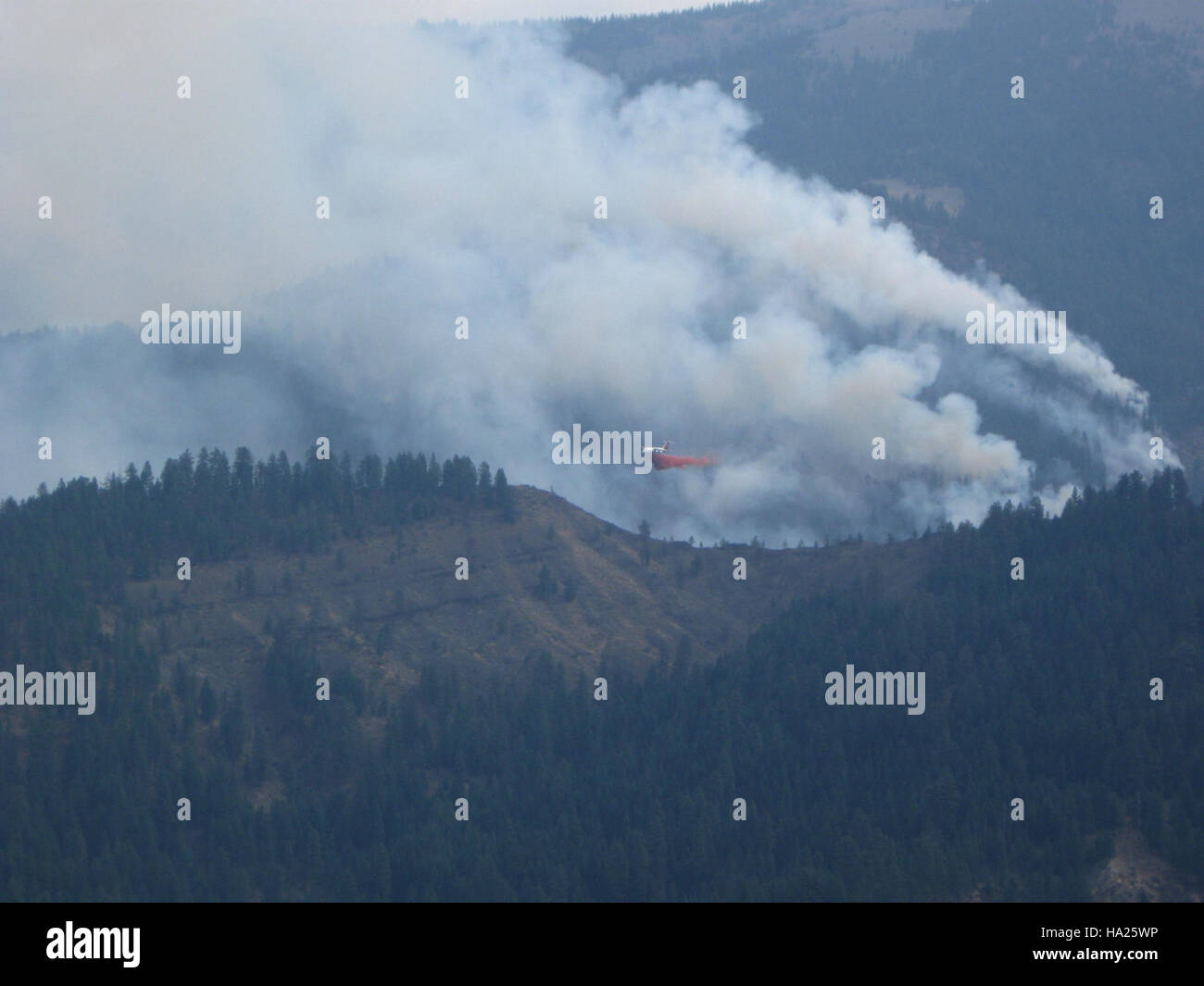 The USDA Forest Service manages wildfire prevention and recovery ...