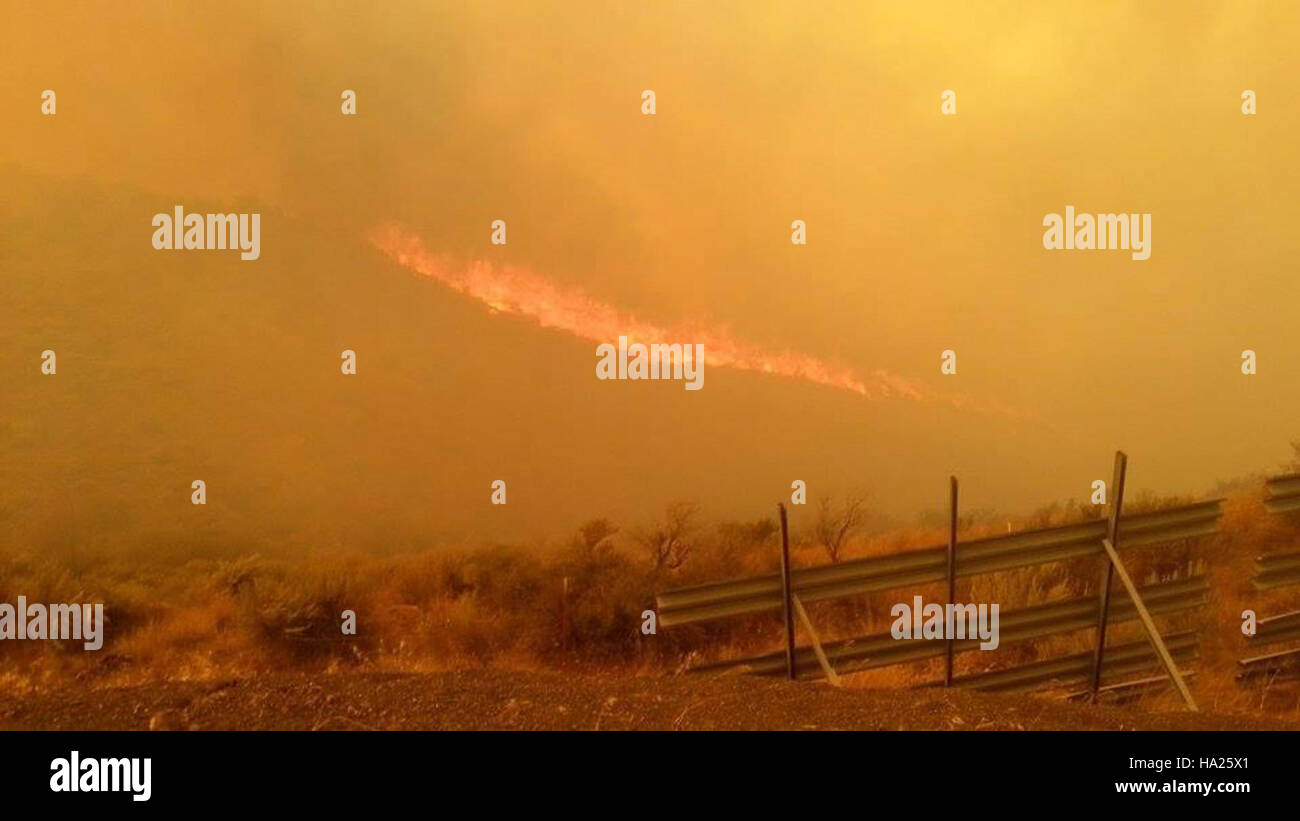 This image captures the aftermath of a wildfire in Oregon, highlighting ...