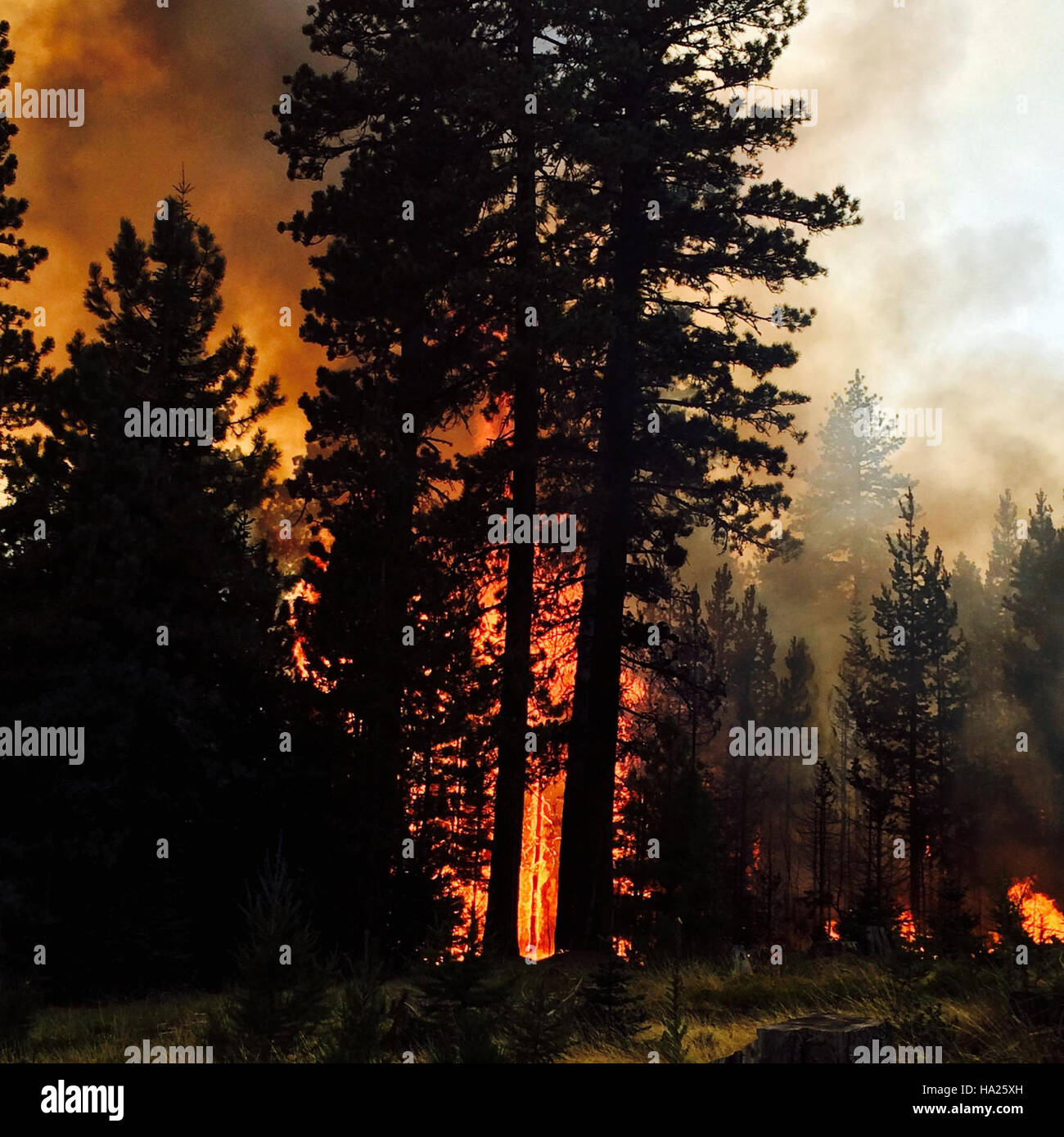 A wildfire in Washington demonstrates the importance of fire management ...