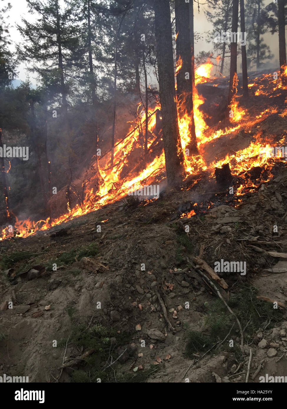 A wildfire in Washington state illustrates the growing challenges of ...