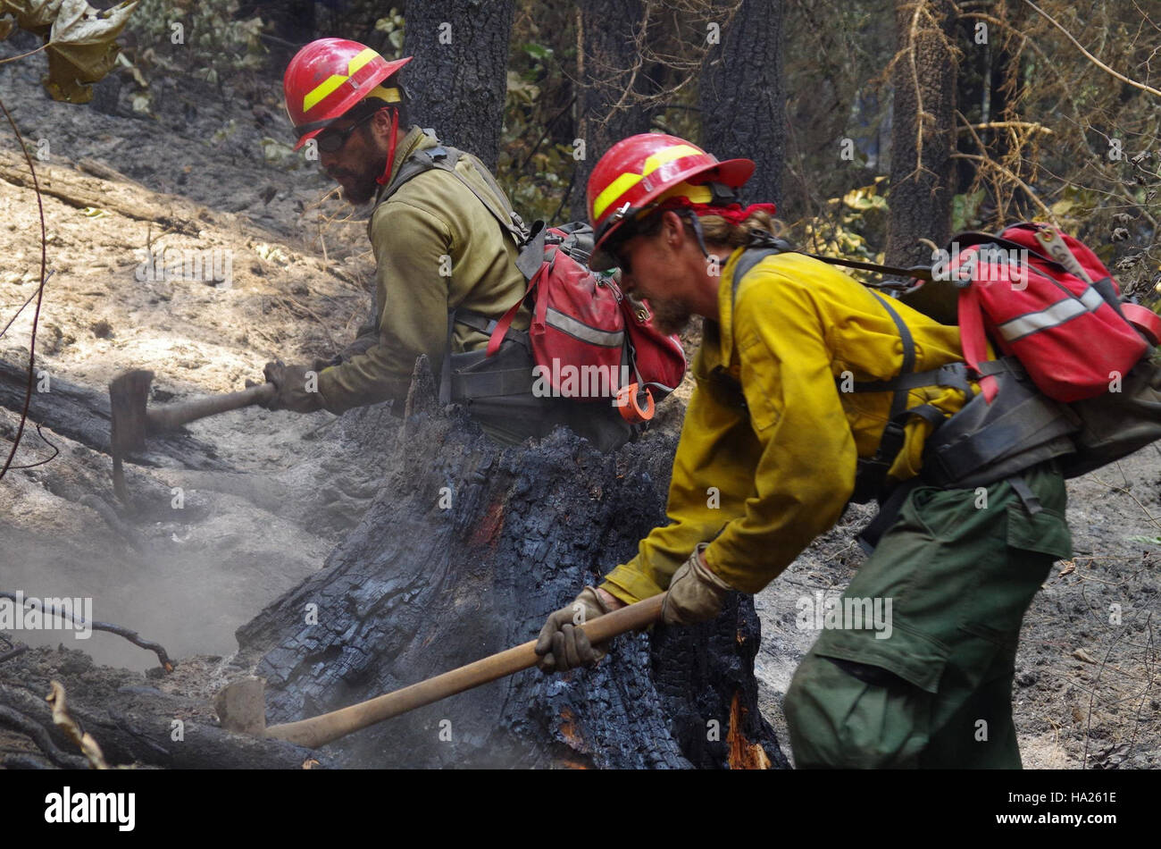 A wildfire burns in Oregon, part of the region's natural fire cycle ...