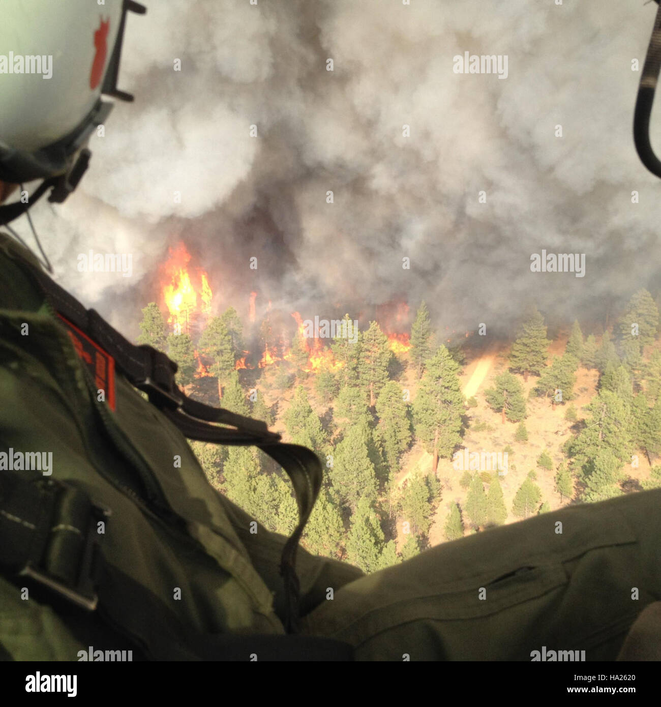 A wildfire in Oregon's national park, focusing on the impact of fire on ...