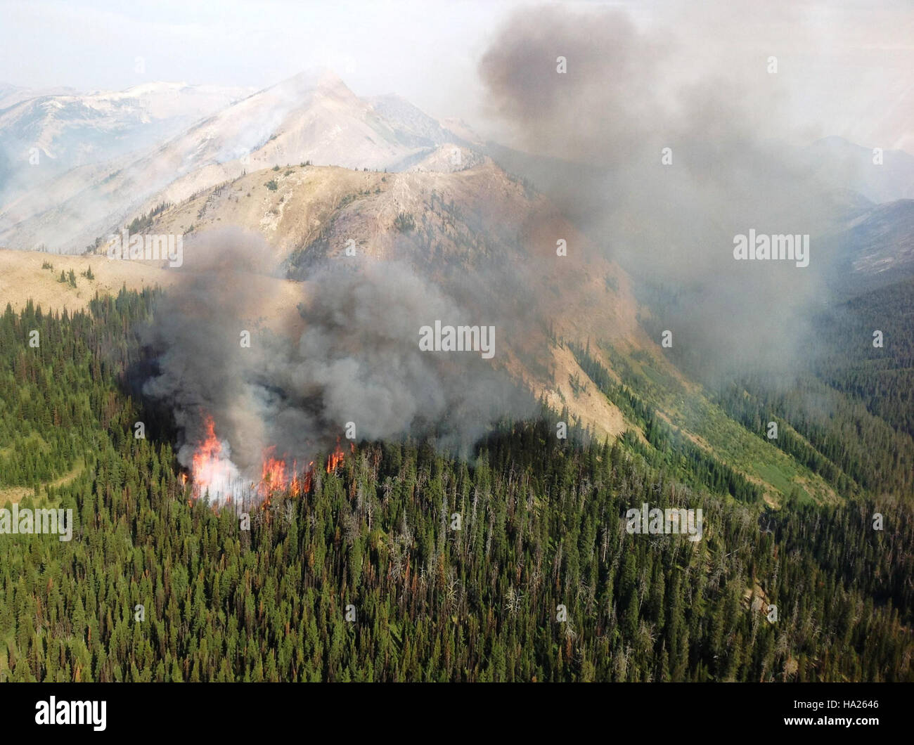 A wildfire in Montana, managed by the USDA Forest Service, illustrates ...