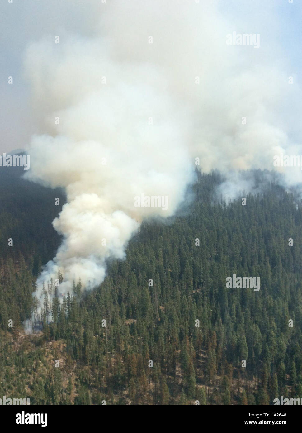 This image captures a wildfire in Oregon, emphasizing the critical role ...