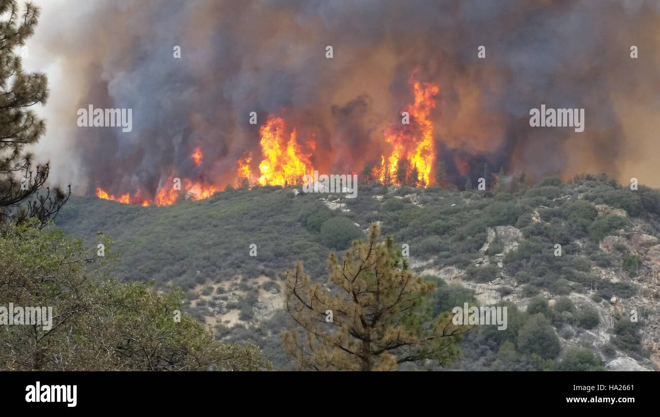 The USDA responds to wildfires in California, focusing on fire ...