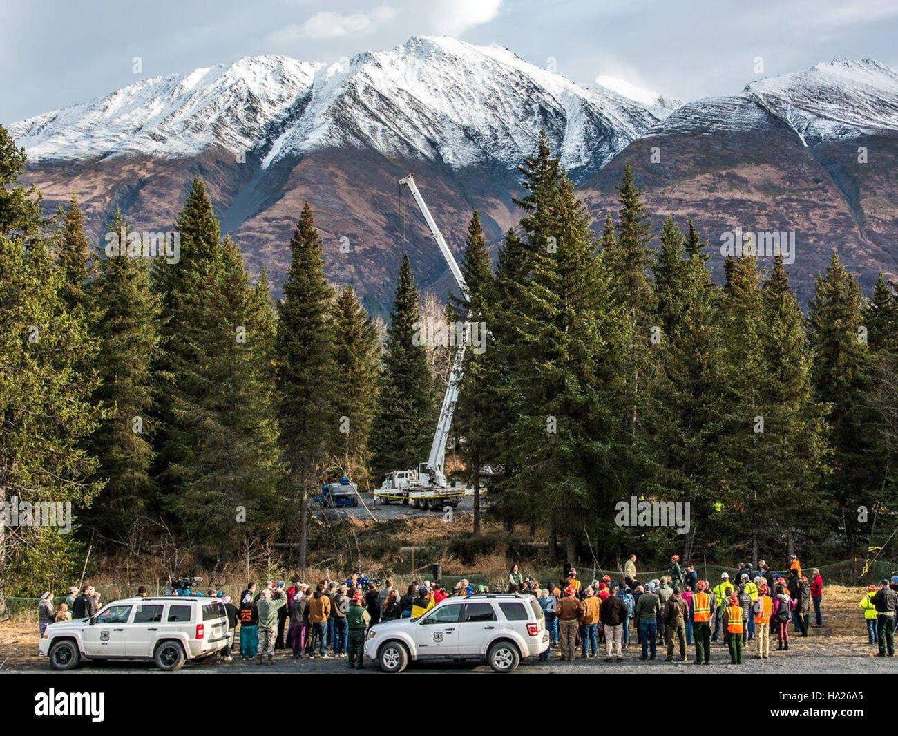 A Lutz spruce tree stands below a white crane arm, with mountains in ...