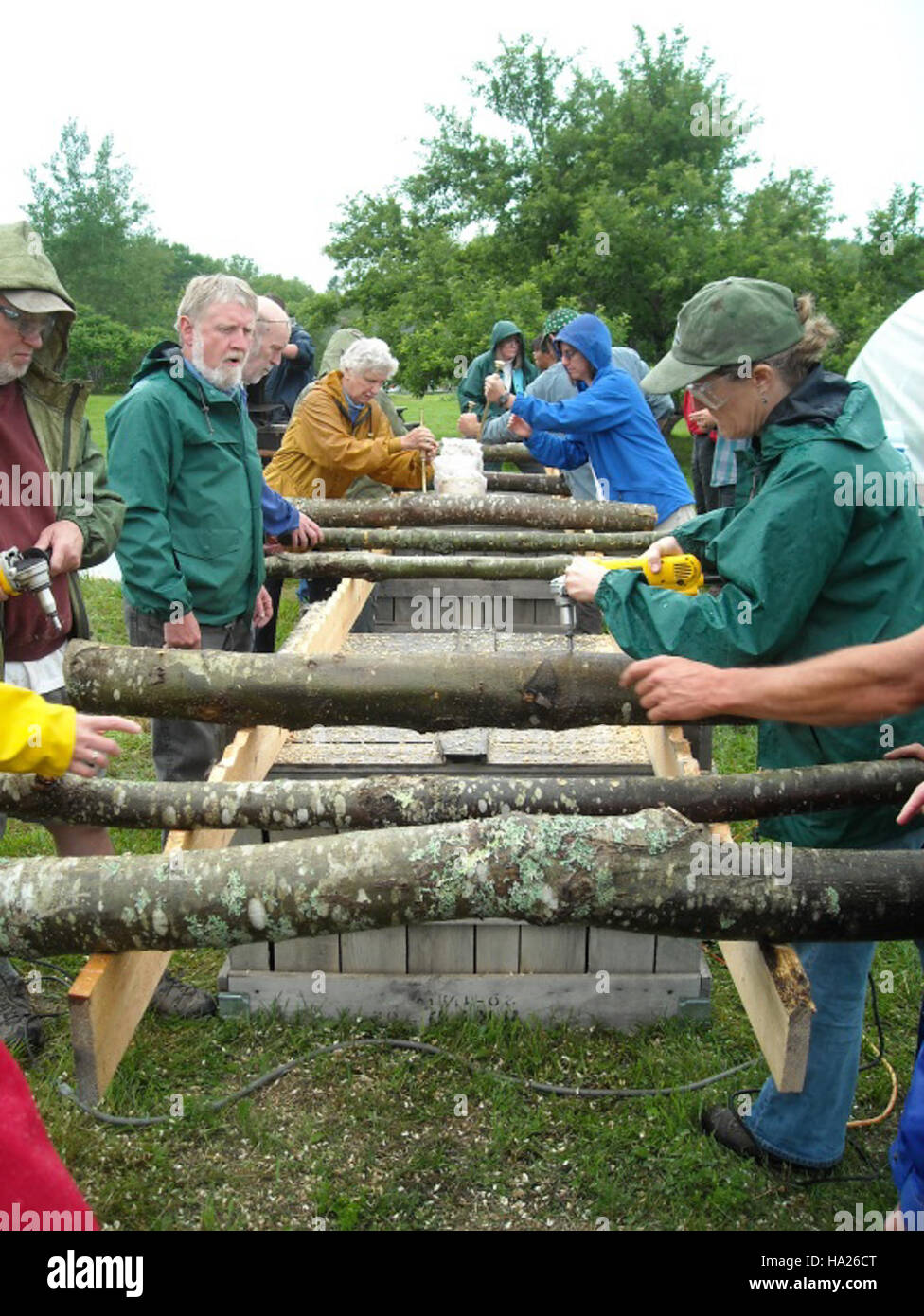 Workshop participants learn how to inoculate logs for shiitake mushroom ...