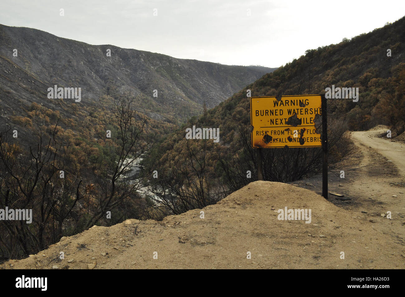 The after-effects of a high-intensity wildfire in a forested watershed ...