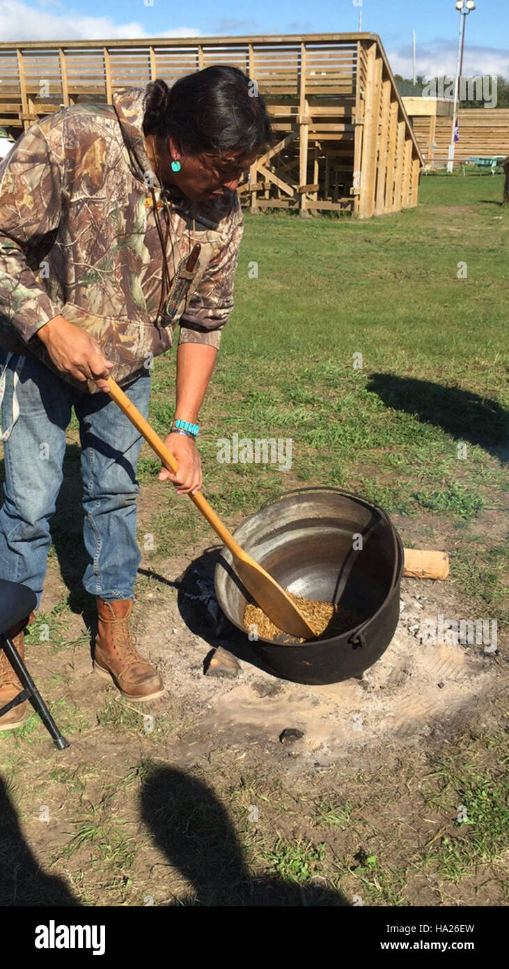 This image showcases the traditional method of hand parching wild rice ...