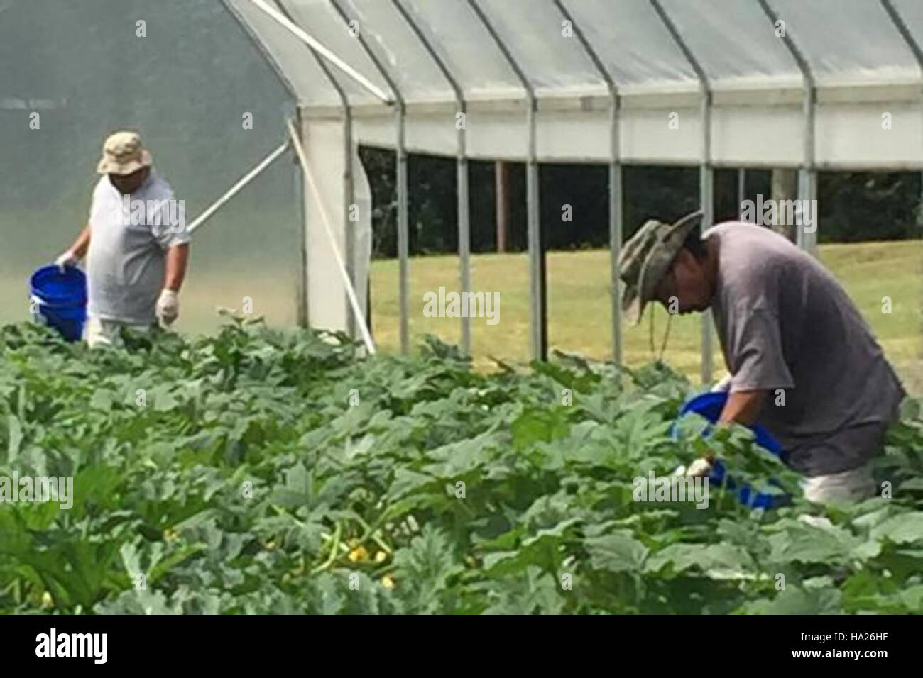 Choctaw indians hi-res stock photography and images - Alamy