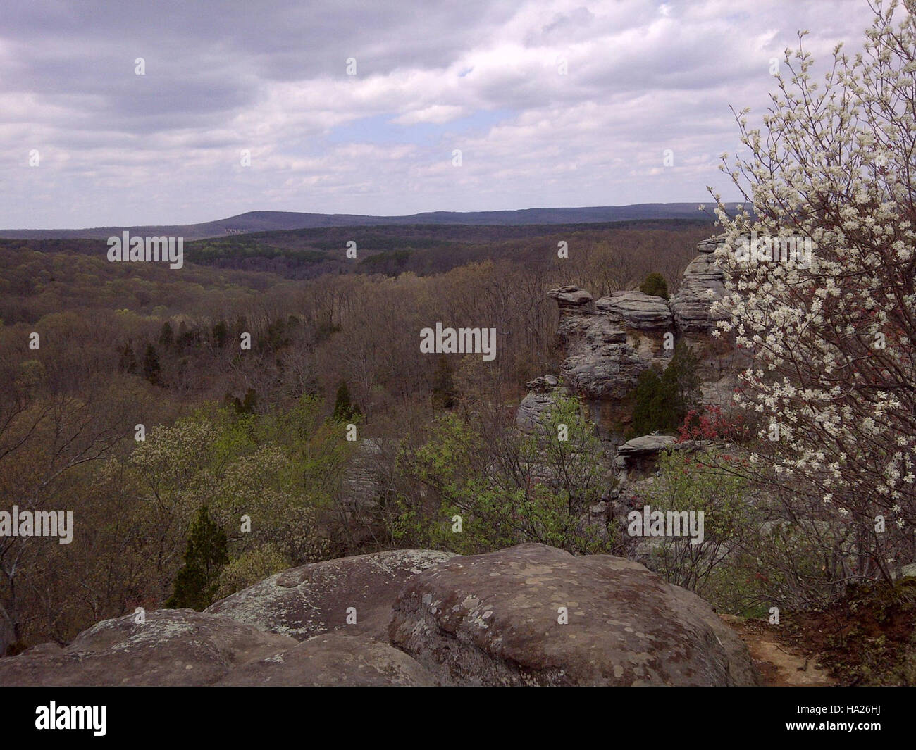 Camel Rock, located in the Shawnee National Forest's Garden of the Gods ...