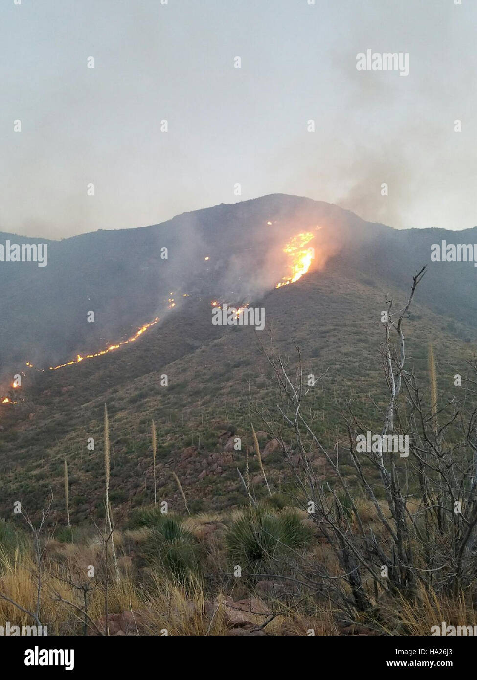 The Arizona College Peak Fire, a wildfire event, showcases the ...