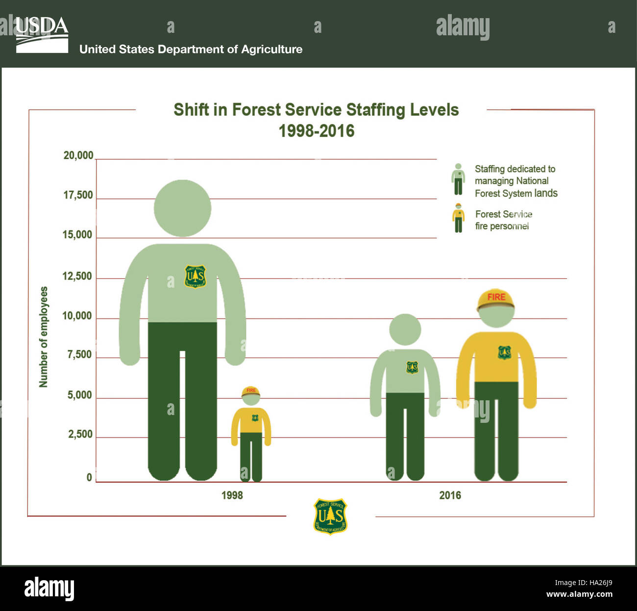 The U.S. Forest Service infographic provides a visual summary of forest ...