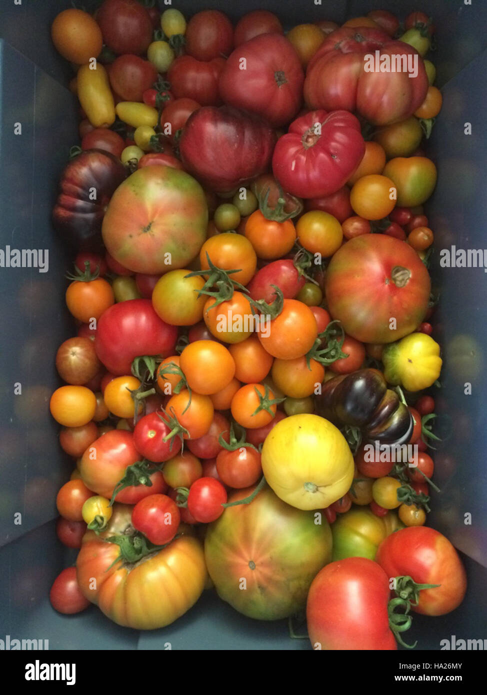 Farm Lab at National Park demonstrates sustainable farming practices ...