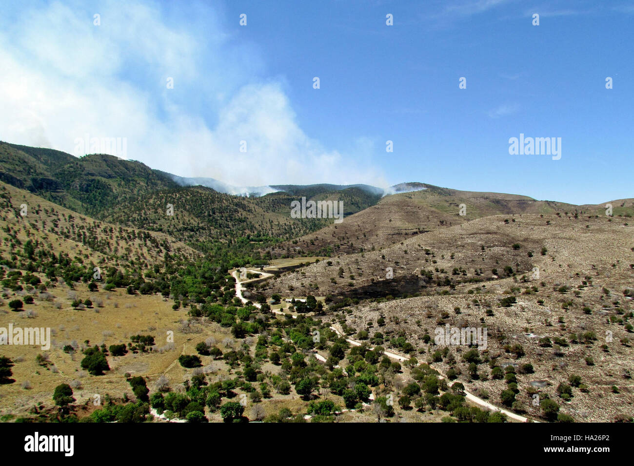 The Coyote Fire in New Mexico, a large wildfire that occurred in a ...