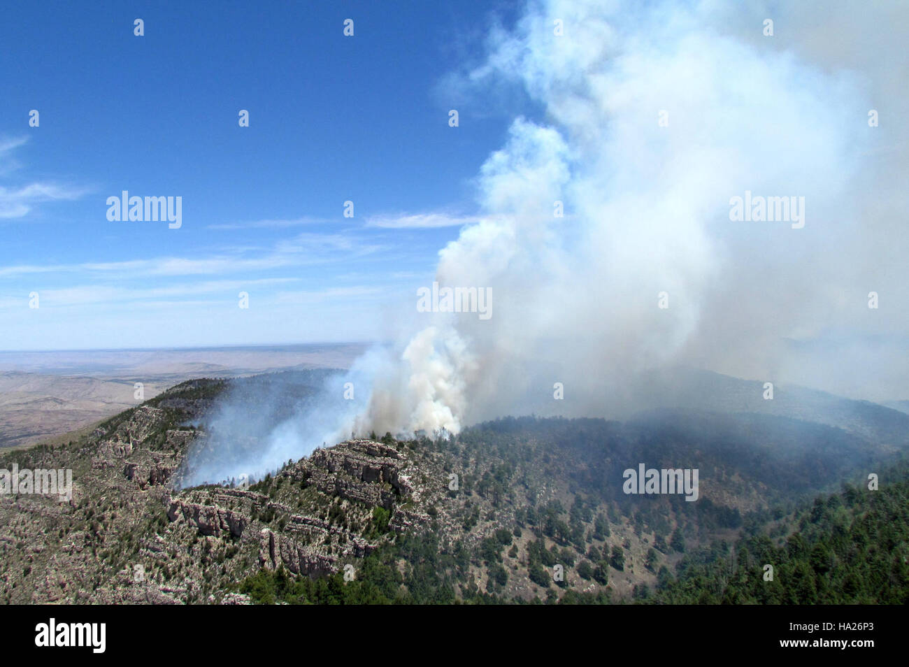 The Coyote Fire in New Mexico highlights the environmental impact of ...