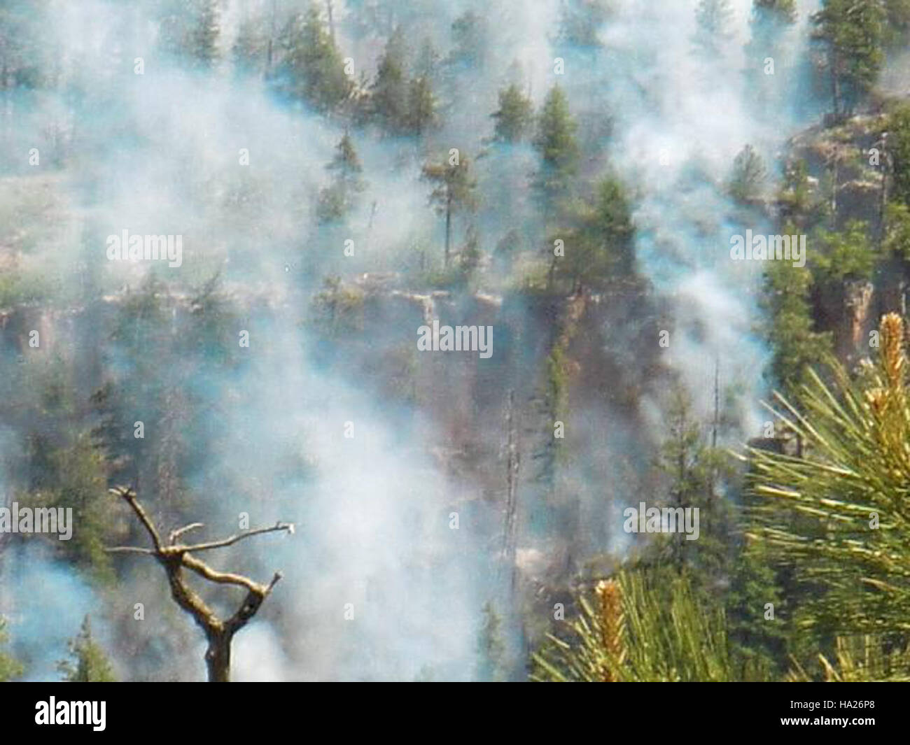 A wildfire in Tonto National Forest demonstrates the park's fire ...