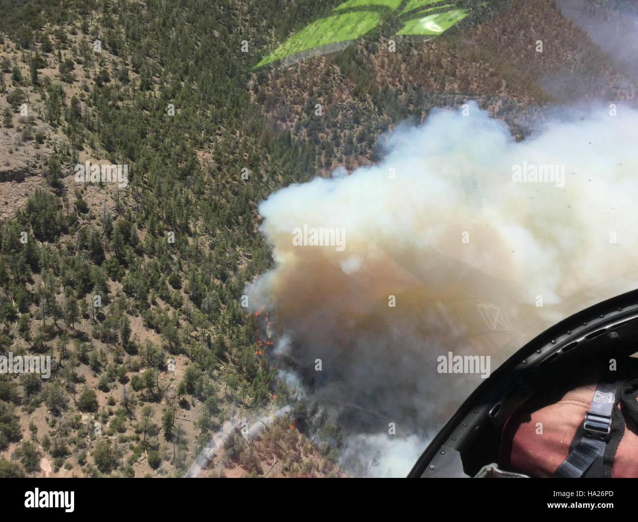 The North Fire in Cibola National Forest, a significant wildfire event ...