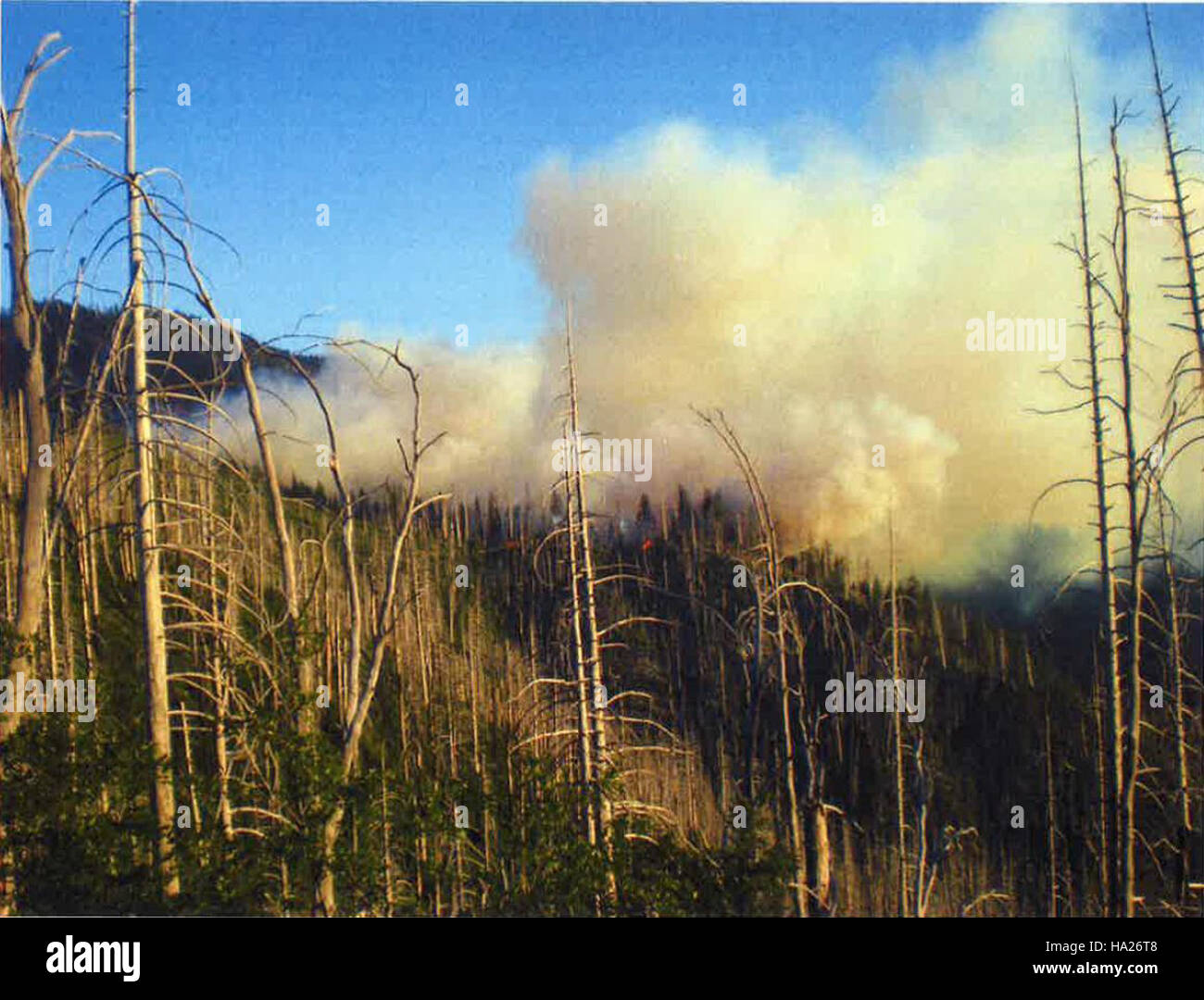 The Fire Pony Fire, a wildfire in a national park, poses challenges for ...