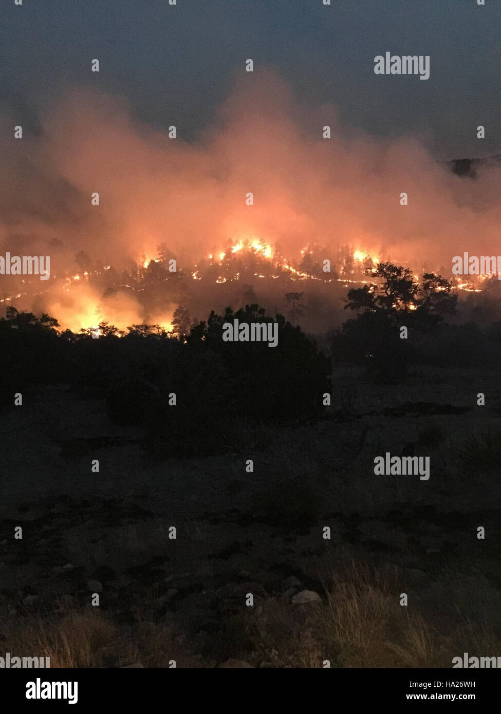 The North Fire, a wildfire incident, occurred in a national park and ...