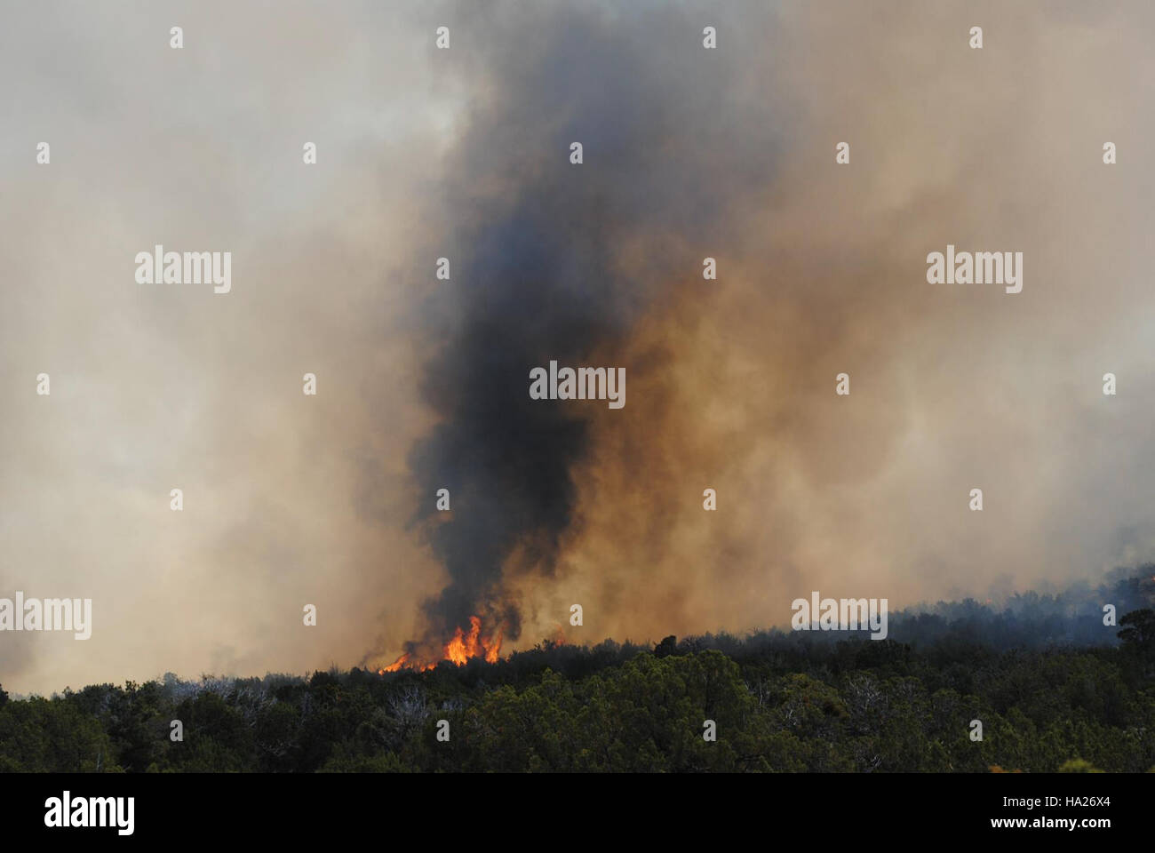 Bert science hi-res stock photography and images - Alamy