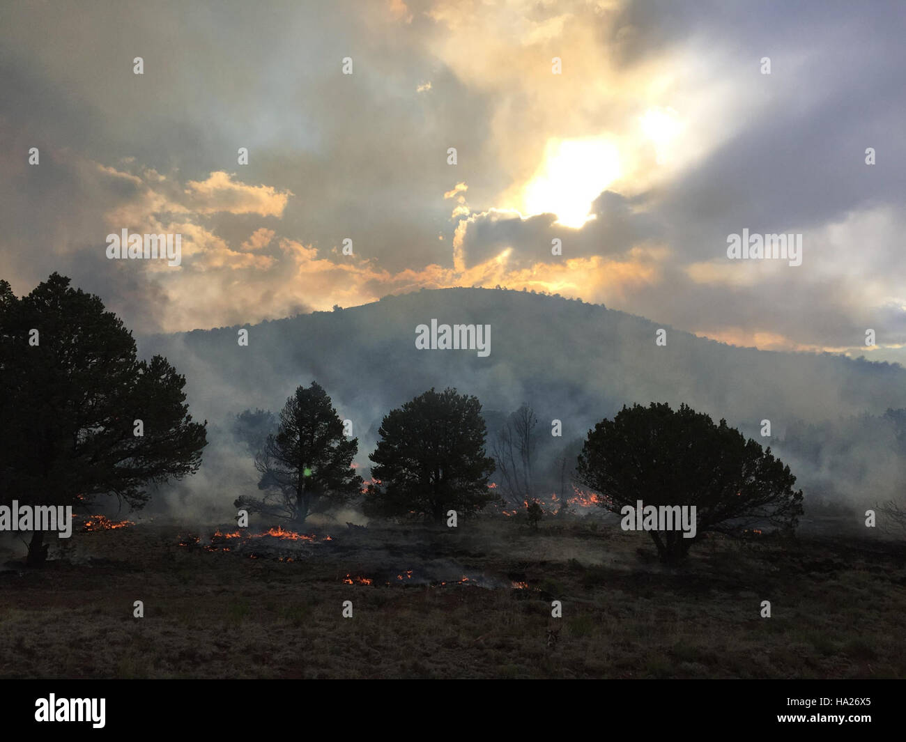 The Arizona Bert Fire, a wildfire in Arizona, was managed by the USDA ...