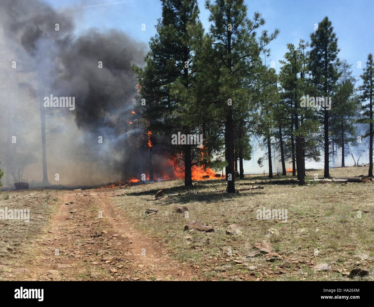 The Jack Fire in Arizona, part of the USDA’s wildfire management ...