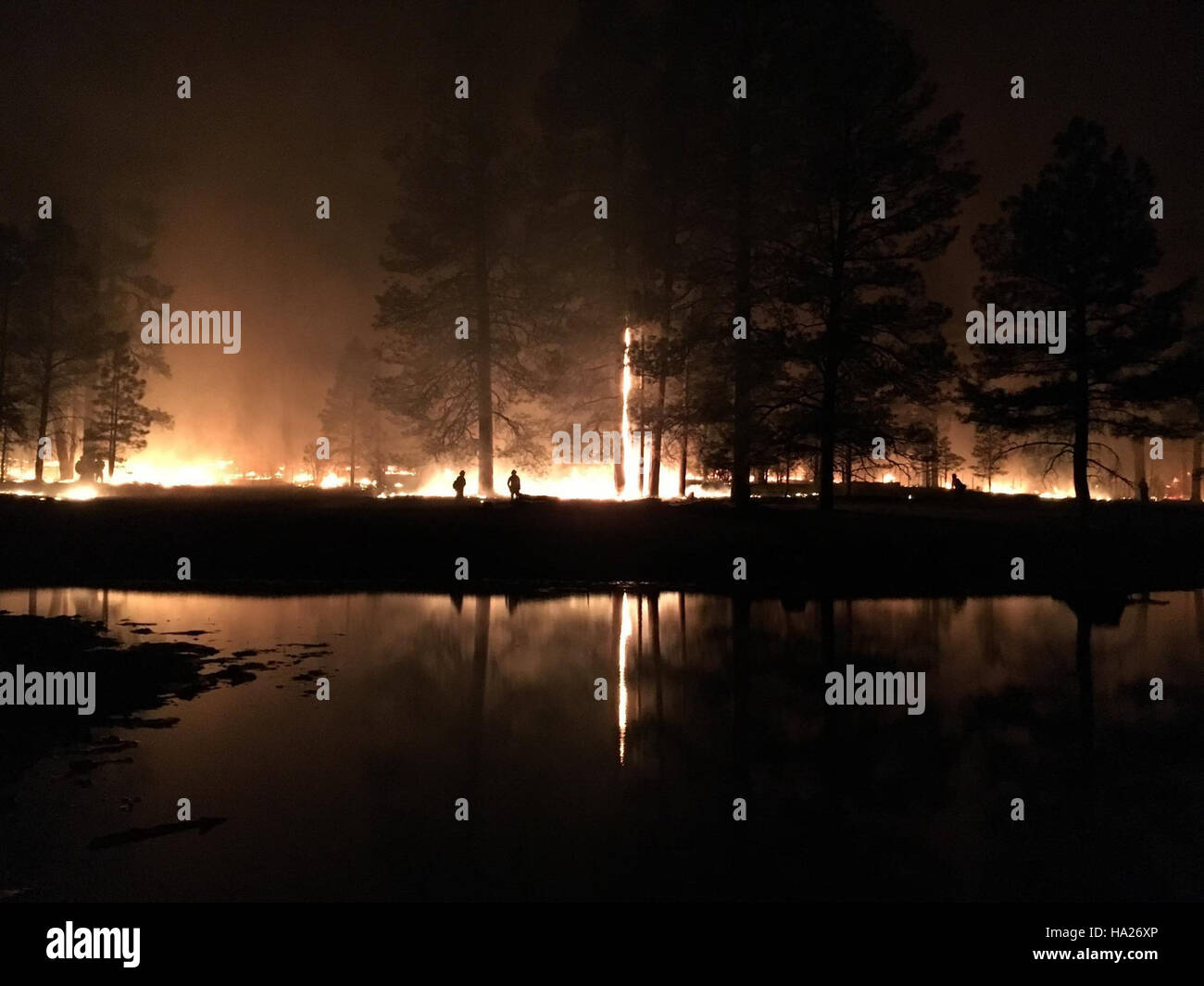 This image refers to the Jack Fire, a wildfire in Arizona that occurred ...