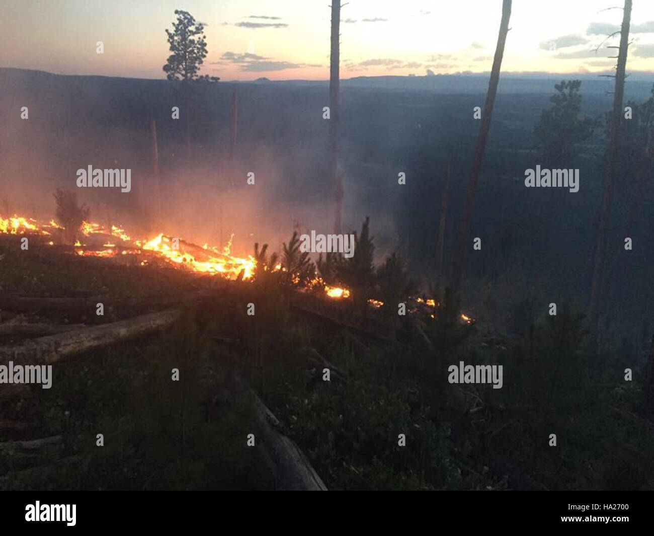 Crow Peak Fire, a wildfire incident in a national park, emphasizing the ...