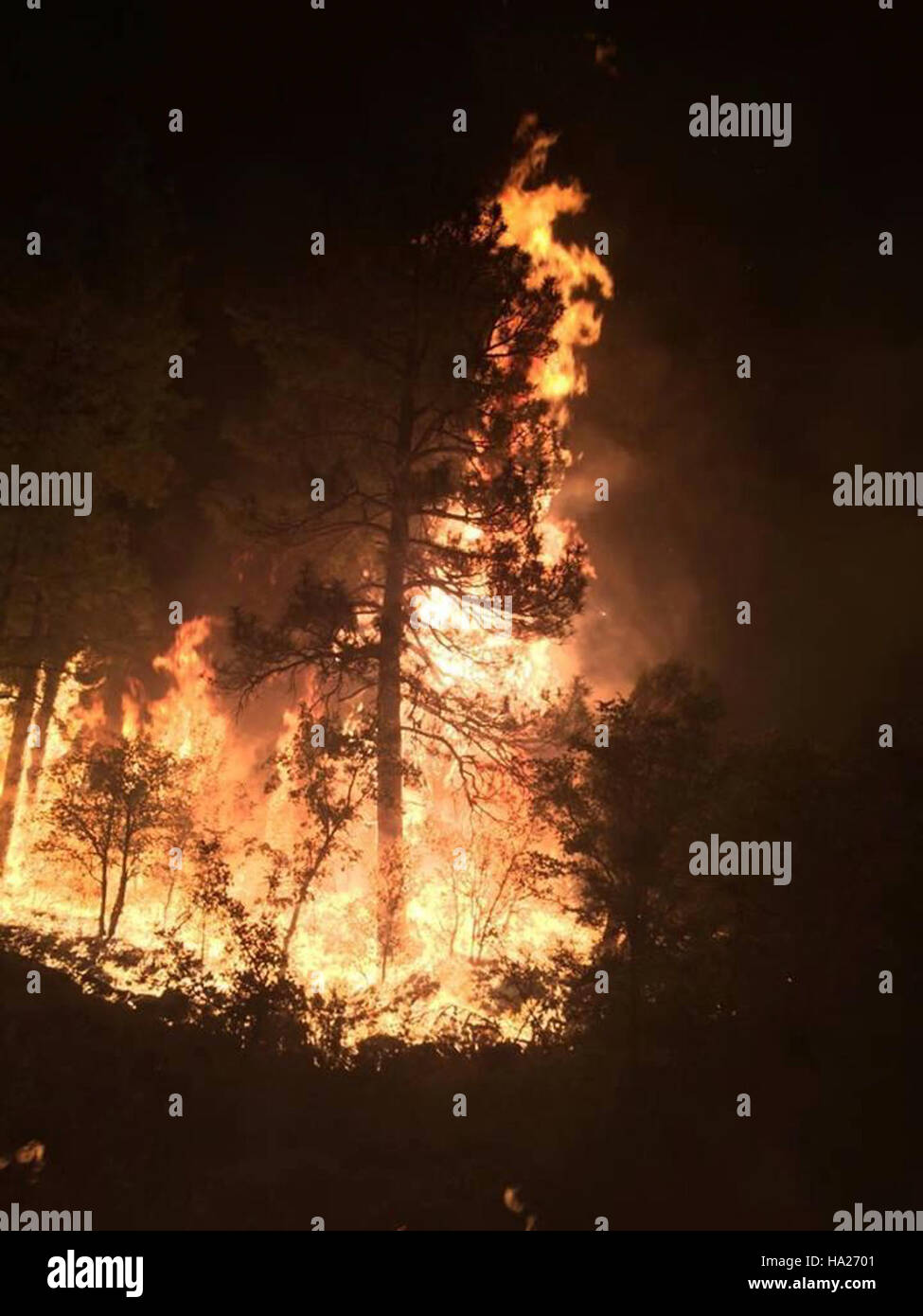 The Cedar Fire, a wildfire event, occurred in a national park and was ...