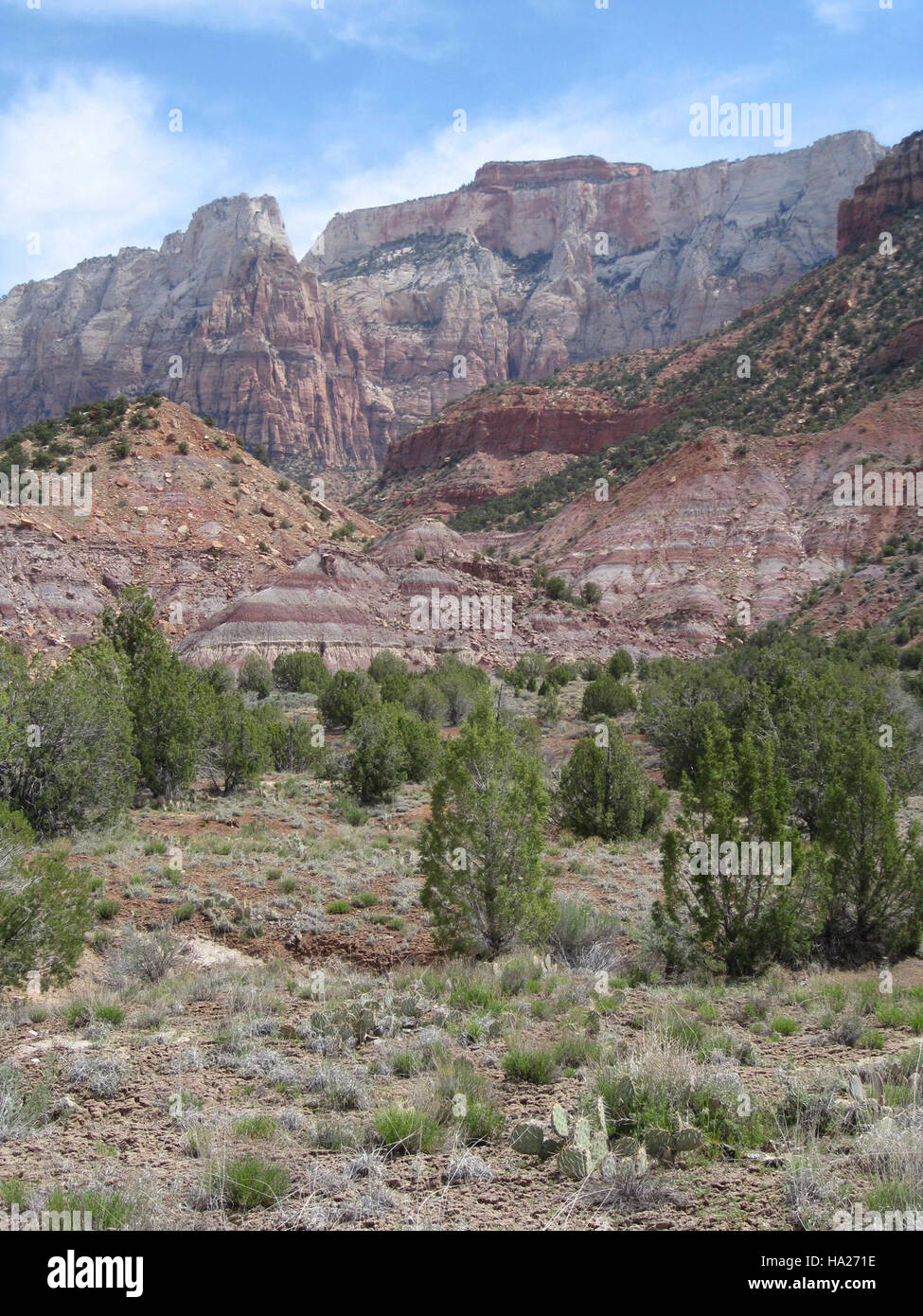 The Chinle Trail in Zion National Park offers a scenic route through ...