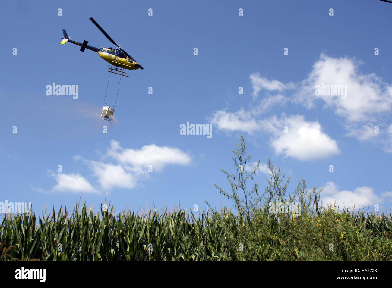 Aerial seeding operation conducted within a national park to promote ...