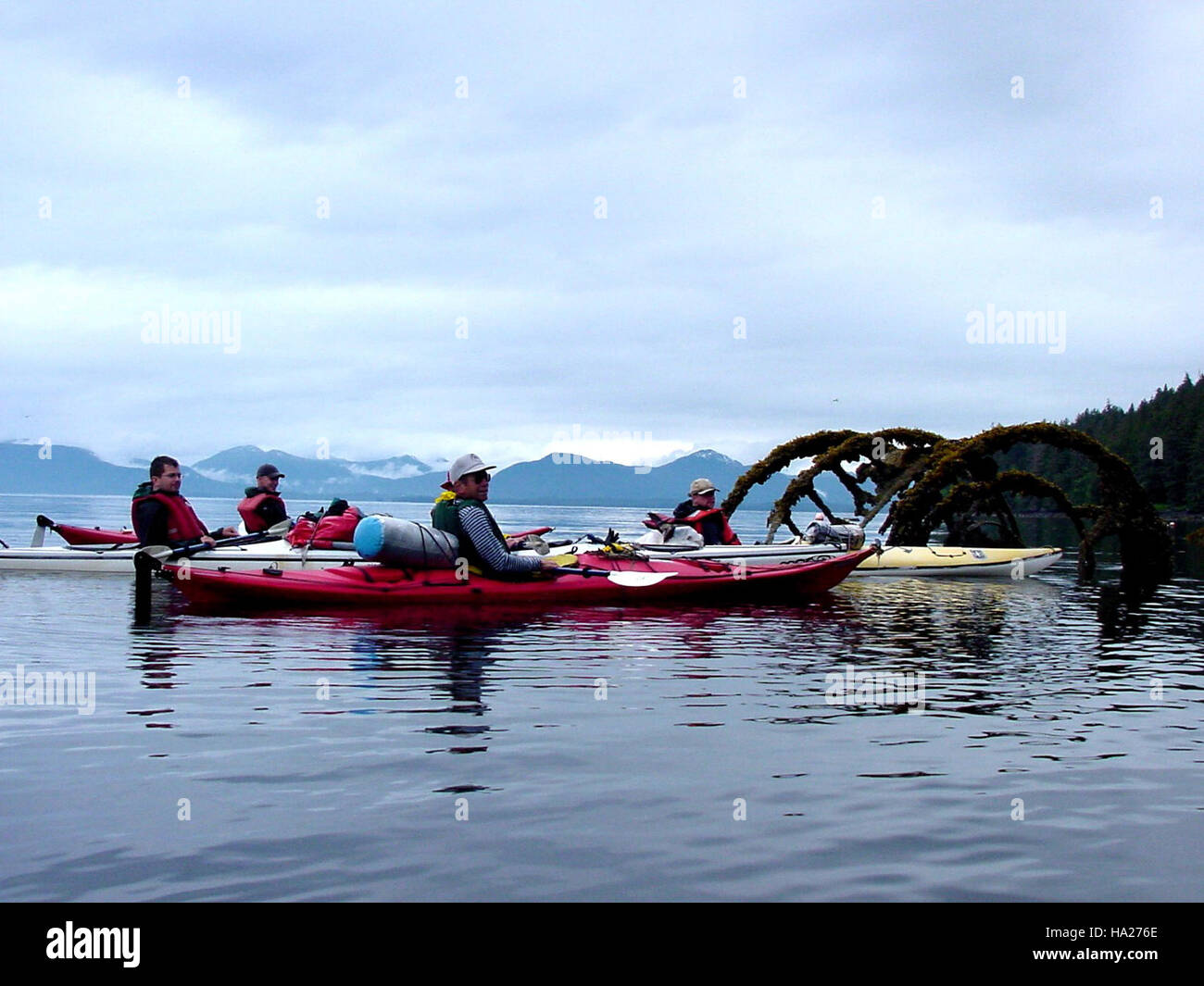 Volunteers participate in the Passport in Time program, sea kayaking to ...