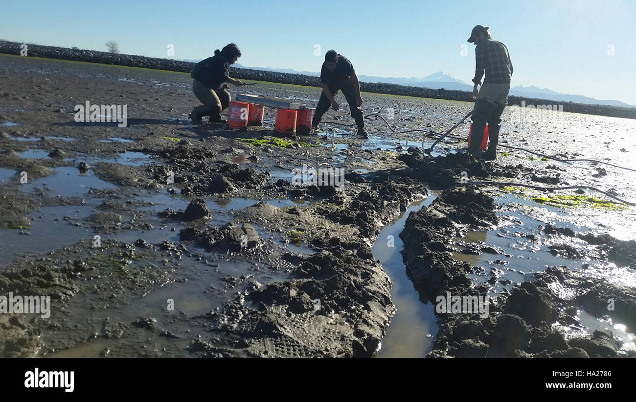 The National Institute of Food and Agriculture (NIFA) supports Lummi ...