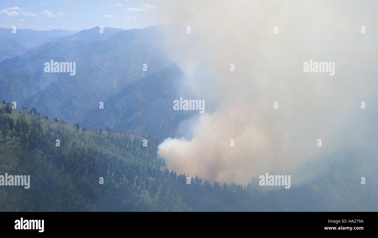 The Papoose Fire in a national park is managed by firefighting teams to ...