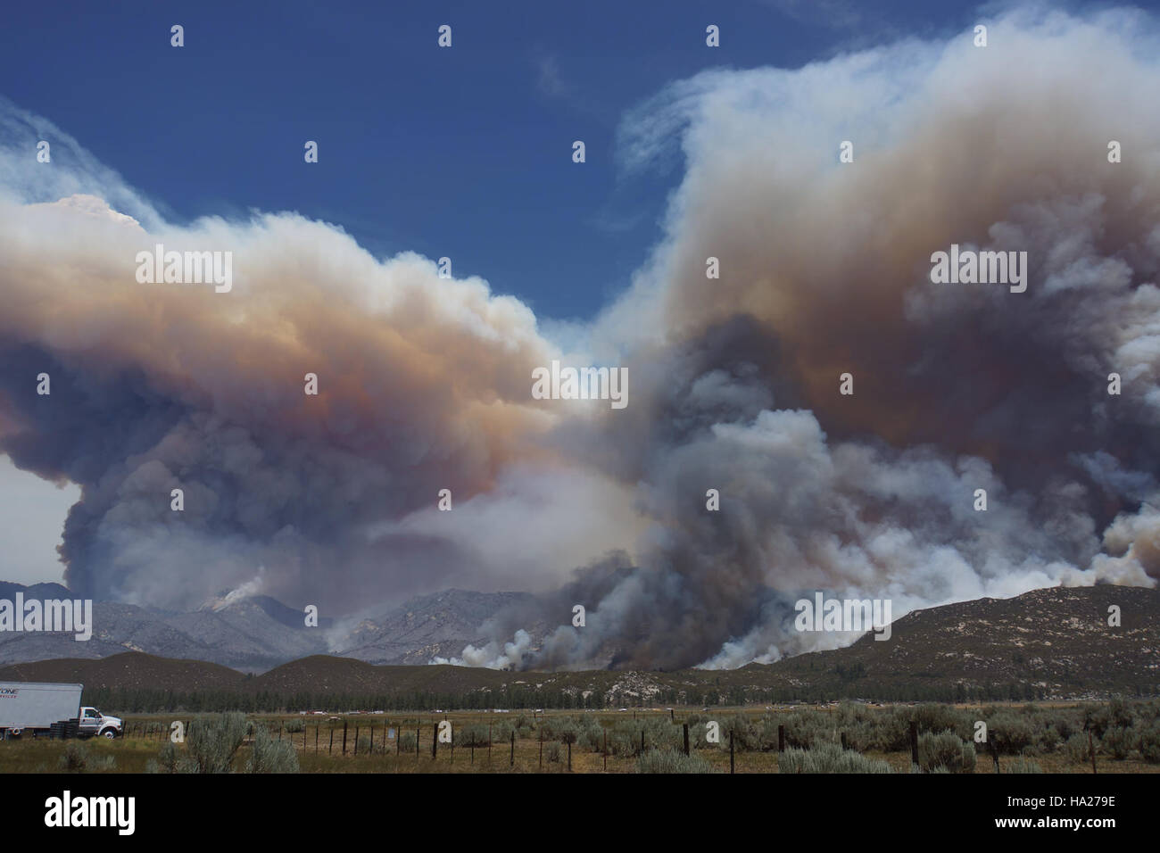 A forest fire burns in a National Park, highlighting the ongoing ...