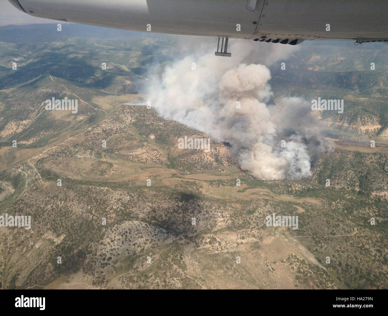 The Citadel Fire in a National Park, a forest fire incident that ...