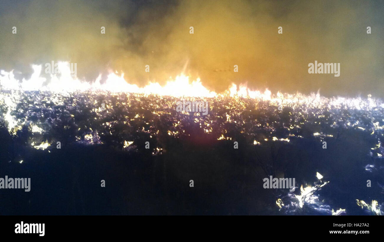 This image shows the aftermath of the Citadel Fire in a national park ...