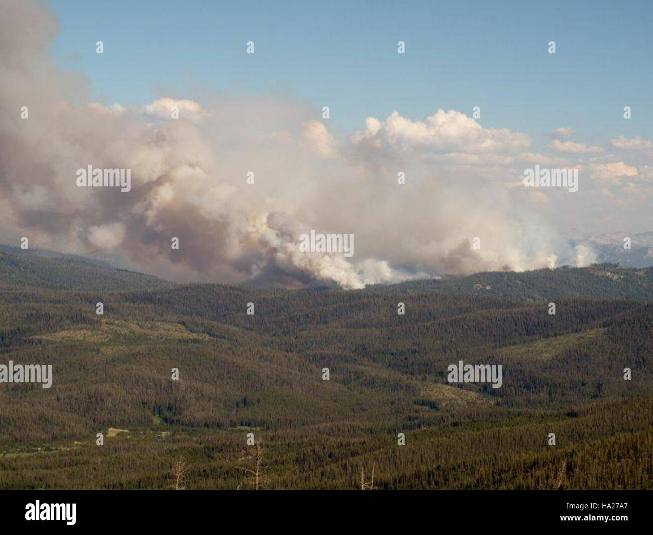 A forest fire occurred at Ridge Fire, affecting parts of a national ...