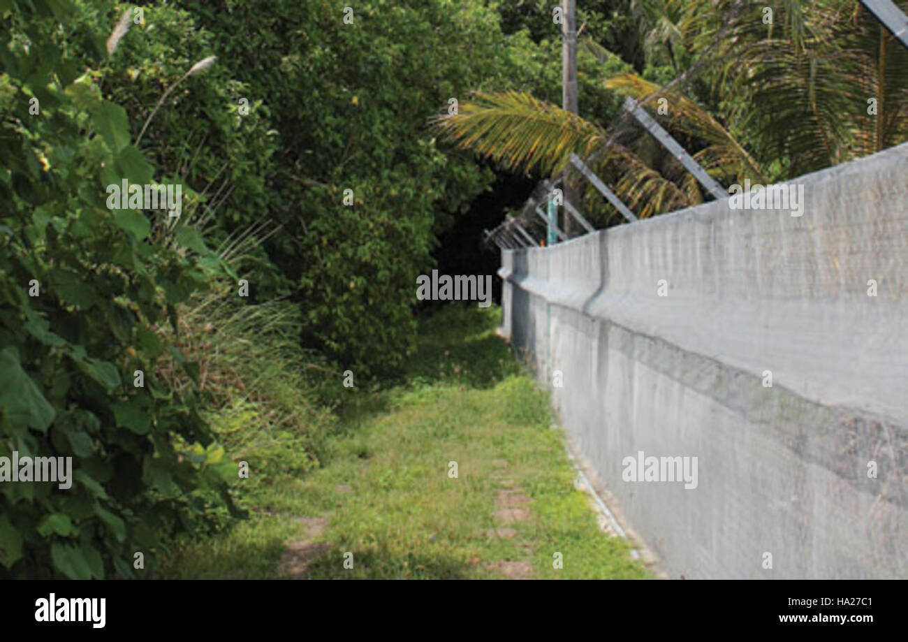 The USDA works on controlling invasive species such as the Brown Tree ...