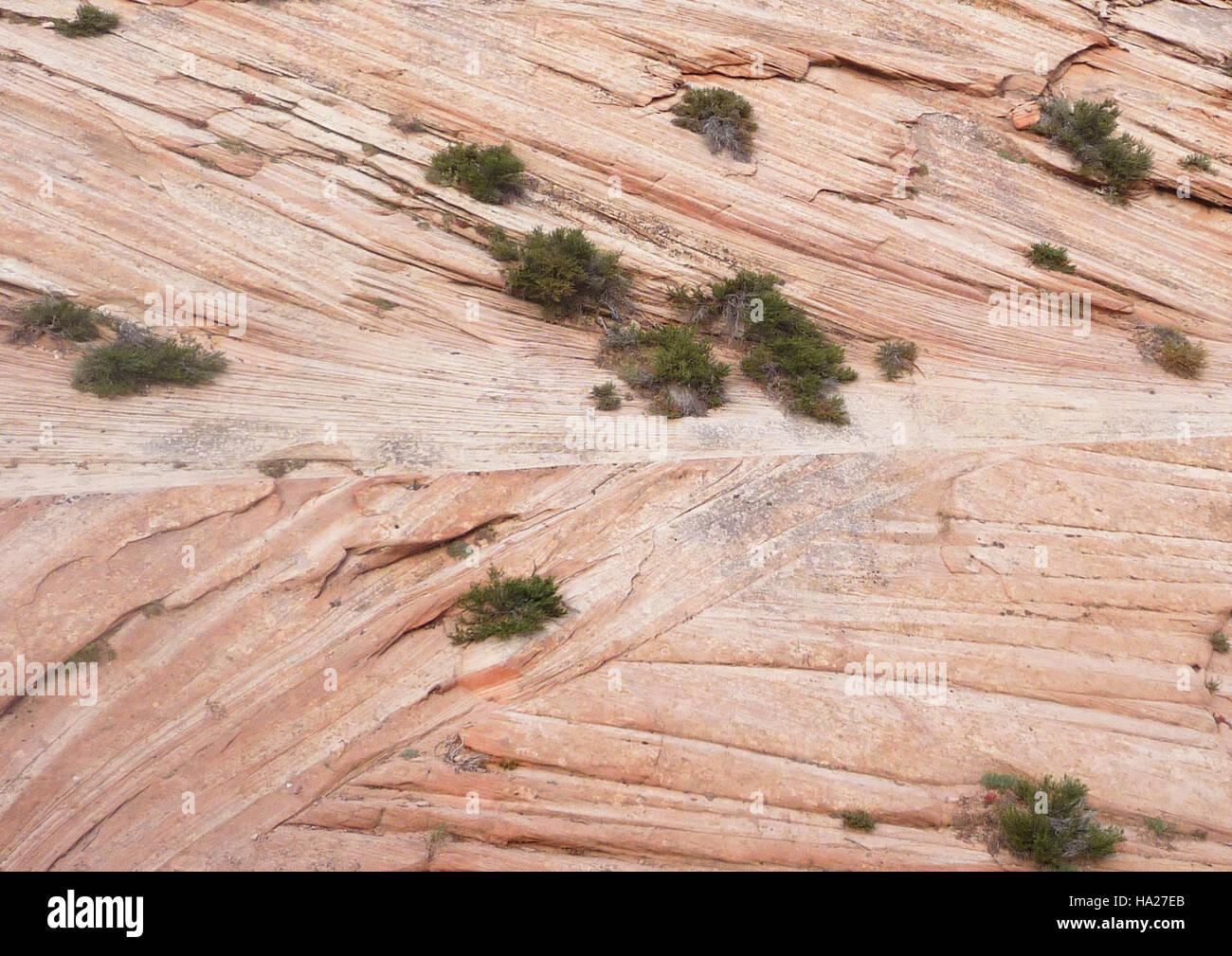 This photo captures the natural phenomenon of sandstone cross-bedding ...