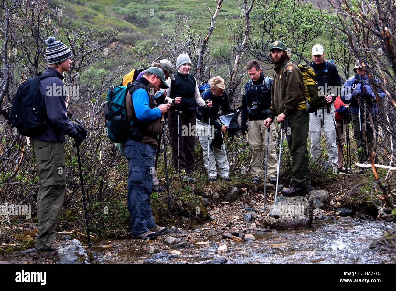 denalinps 5302416836 Discovery Hike Stock Photo - Alamy