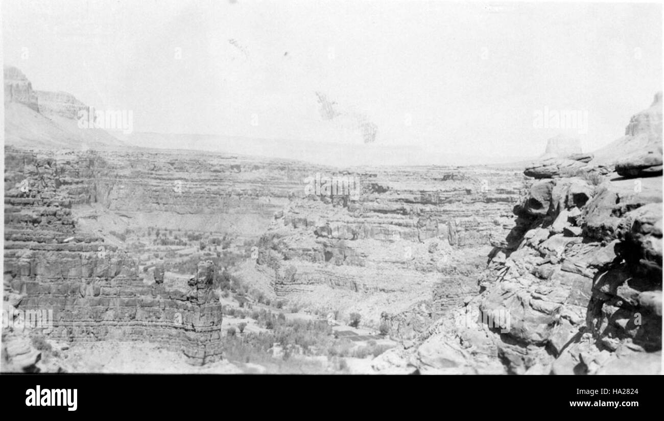 A historic photo of Havasu Canyon from the Redwall Limestone, taken in ...